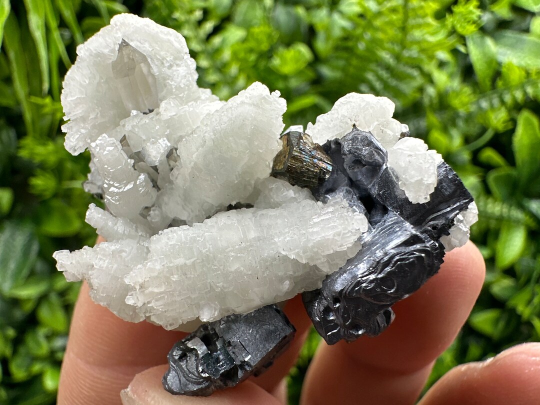 Collection Specimen Skeletal Shiny Galena Whit Pyrite Covered Whit ...