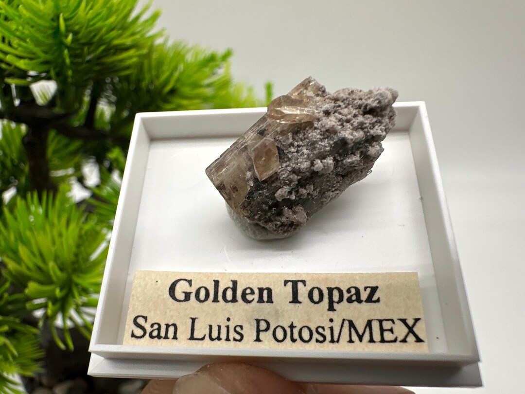 Beautiful Golden Topaz From Mexico,collection Piece Crystal,mineral ...