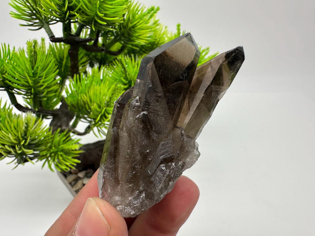 Rare Smoky Quartz,mineral Specimen,collection Crystal,minerals,smoky ...