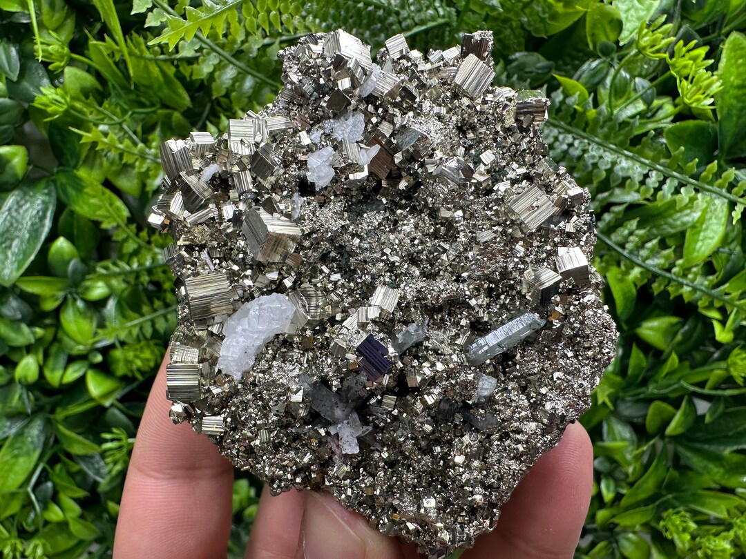 Amazing Piece Shiny Perfect Pyrite Cubes Whit Quartz Inclusions ...