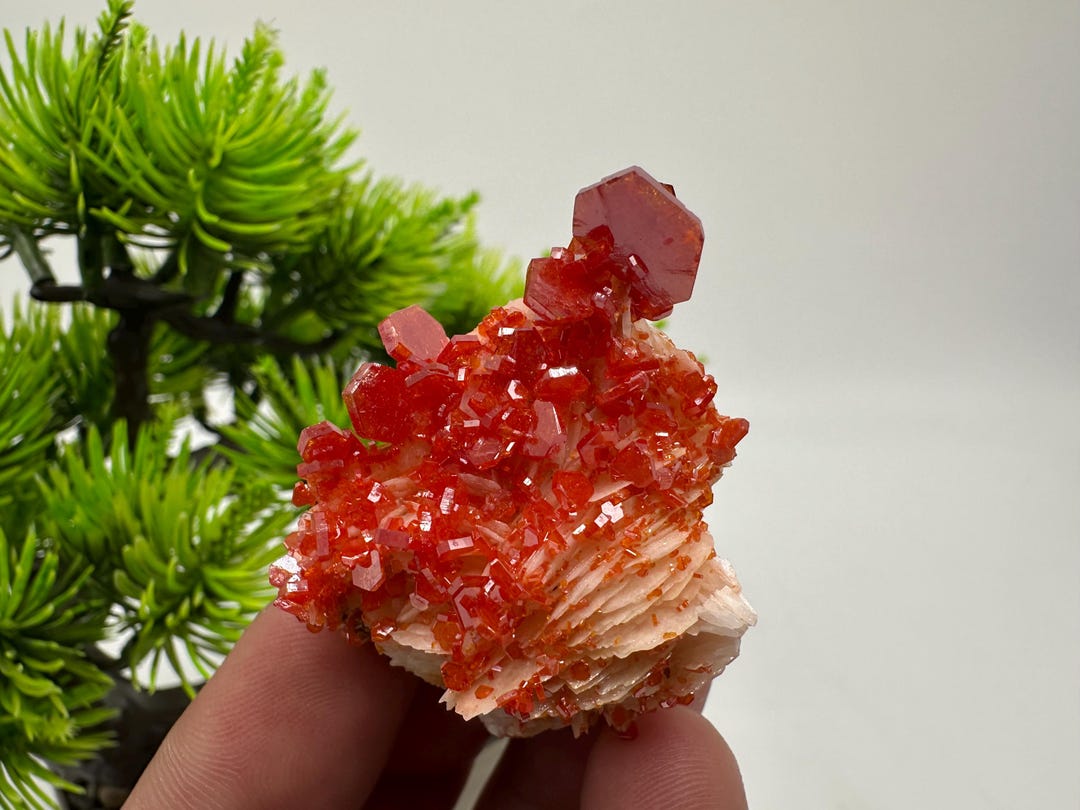 Red Vanadinite on Barite From Morocco,crystal, Mineral,specimen,cluster ...