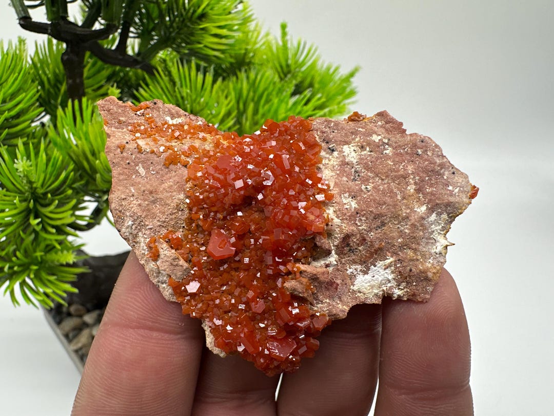 Red Vanadinite on Barite From Morocco,crystal, Mineral,specimen,cluster ...
