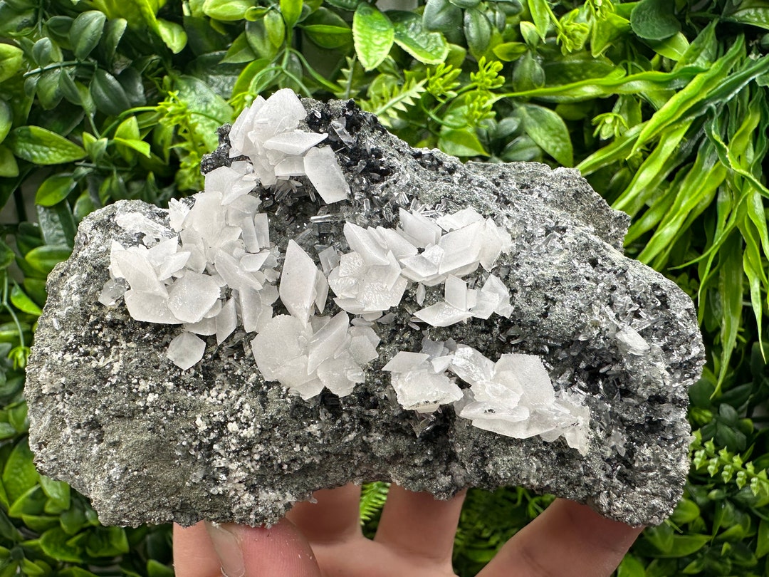 Aesthetic Fluorescent Uv Light Mangano Calcite on Needle Quartz Whit ...