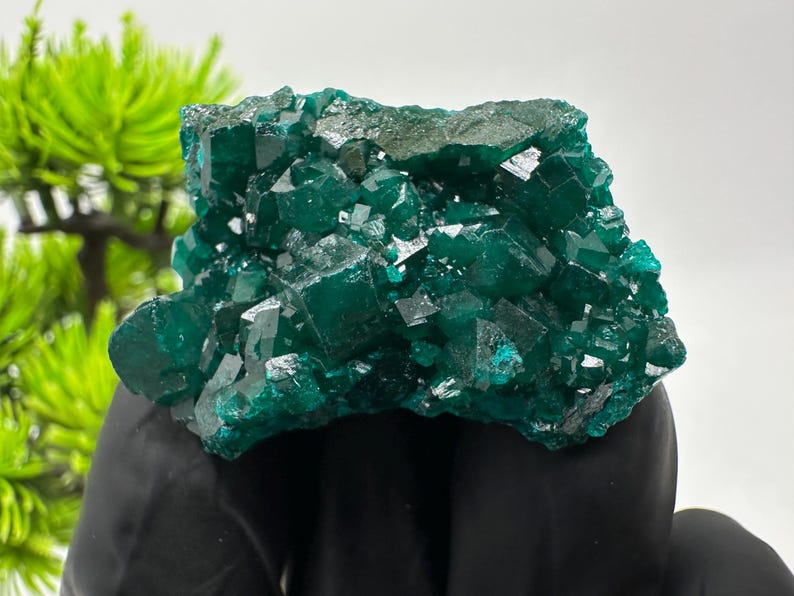 Green Dioptase Crystal Cluster, Congo Mineral Specimen - Etsy