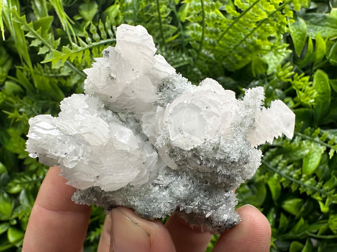 Perfect Fluorescent Mangano Calcite on Quartz Whit Chlorite Inclusions ...