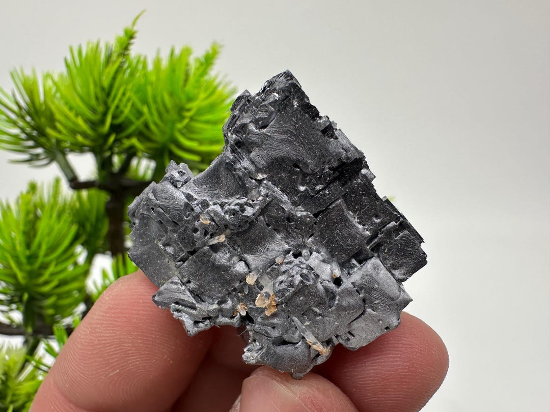 Stunning Collection Natural Shiny Skeletal Galena Rare Minerals,rare ...