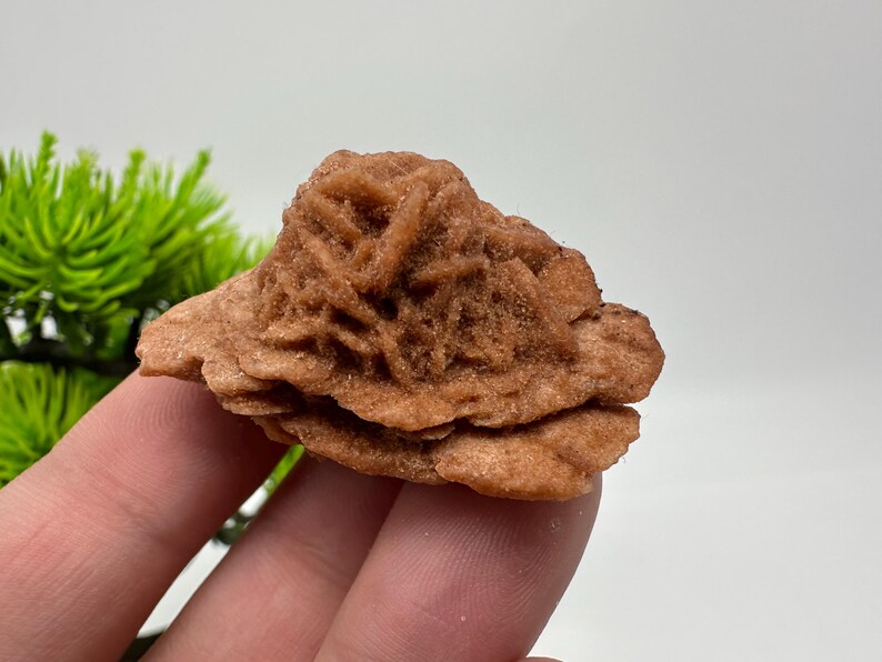 Natural Desert Rose Crystal - Root Chakra Healing Selenite Brown Stone ...