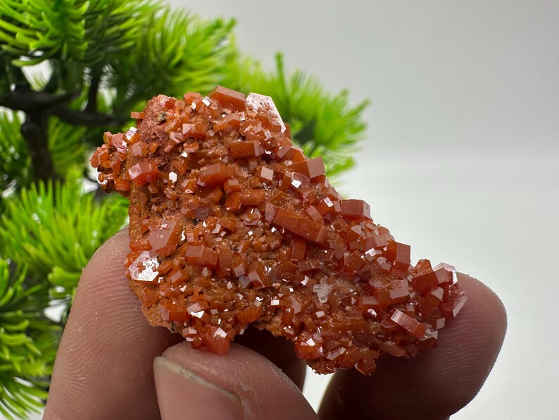 Red Vanadinite on Barite Cluster, Morocco Mineral Specimen - Etsy
