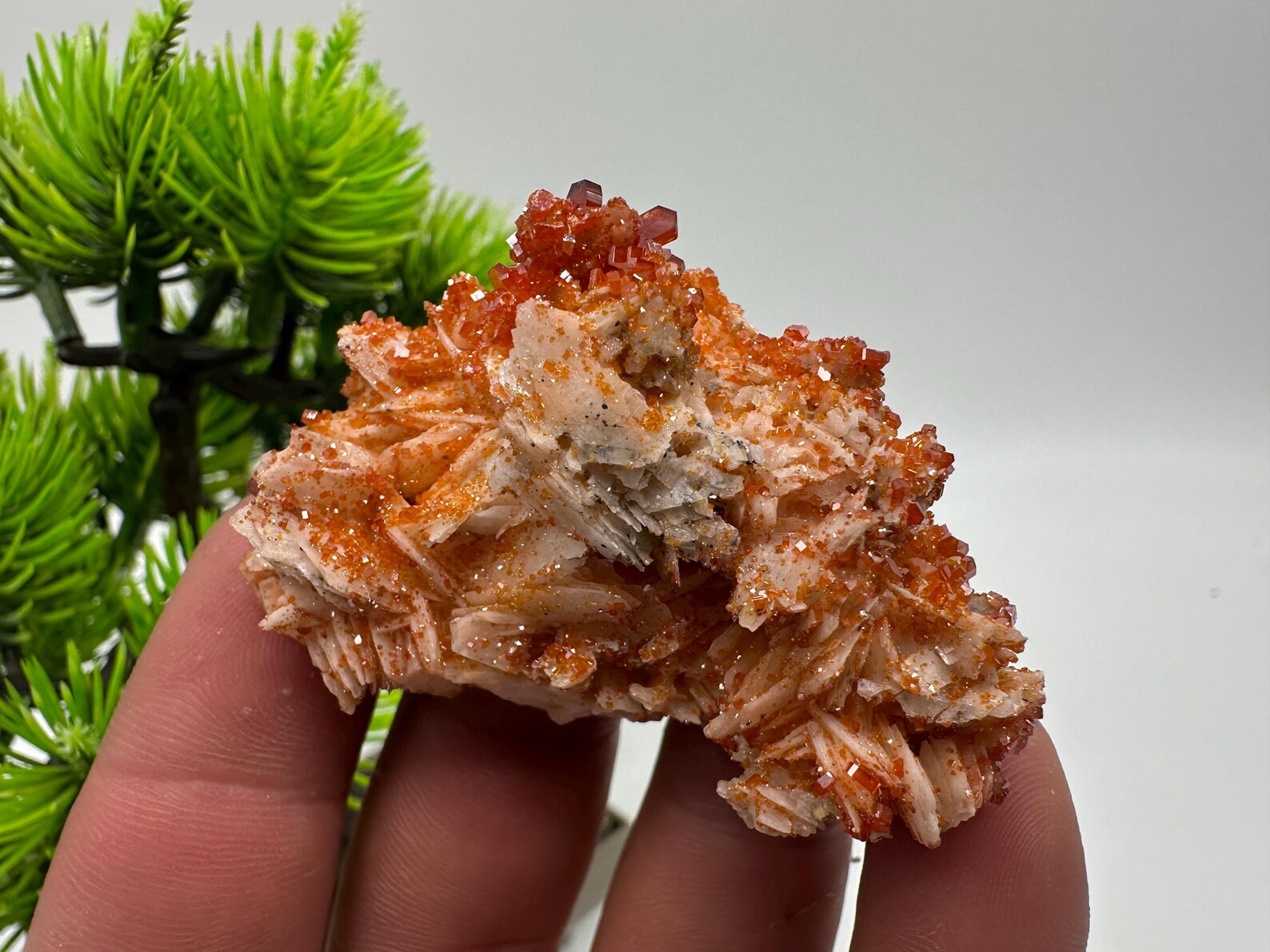 Red Vanadinite on Barite Cluster, Morocco Mineral Specimen - Etsy
