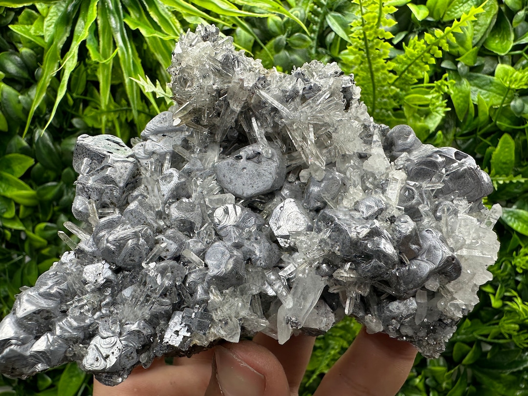 Rare! Shiny Skeletal Melted GALENA Whit Transparent Quartz Krushev Dol ...