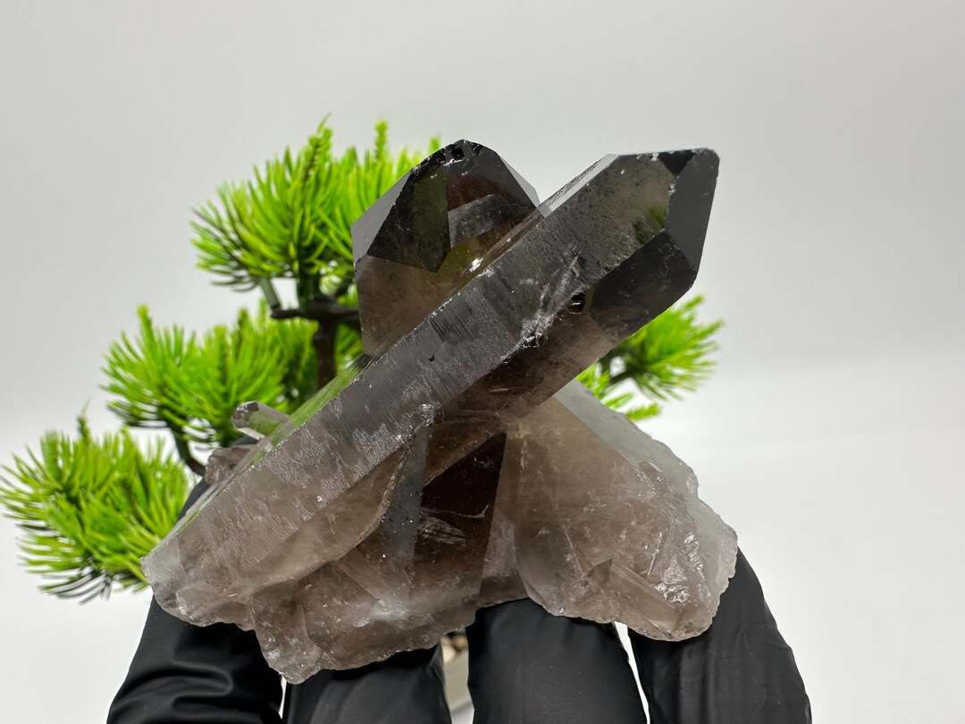 Rare Smoky Quartz,mineral Specimen,collection Crystal,minerals,smoky ...