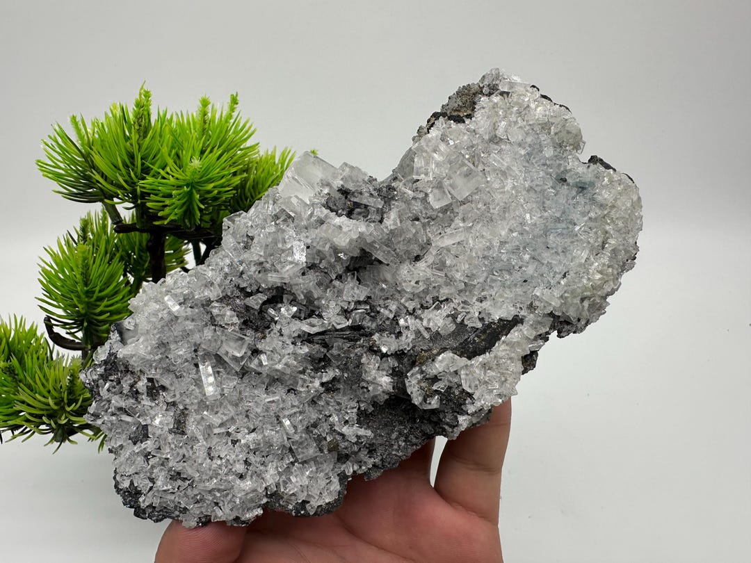 Stunning Transparent Barite on Marcasite Matrix,androvo Mine,bulgaria ...