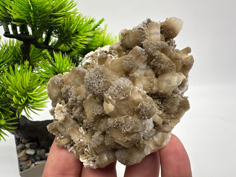 Rare Calcite Pyrite Mineral Specimen on Matrix, Bulgaria Home Decor ...