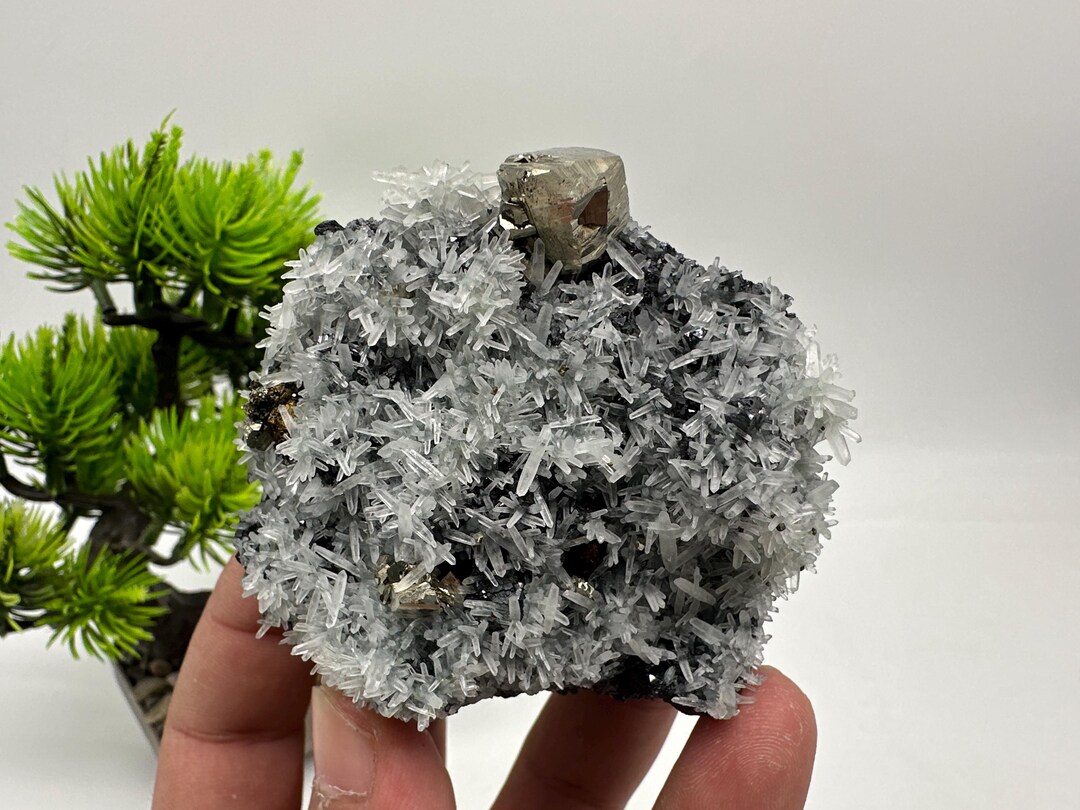Stunning Pyrite on Transparent Quartz Natural Minerals Souvenir Crystal ...
