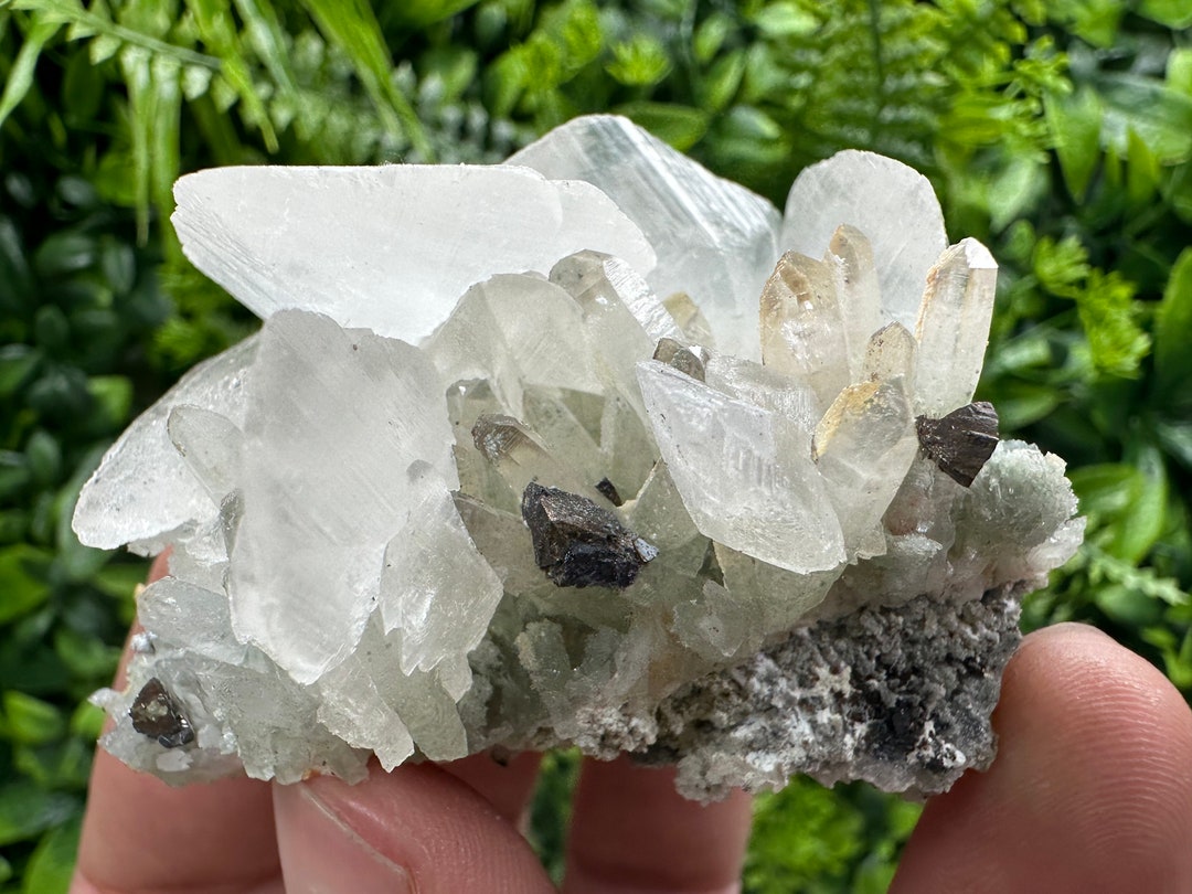 Transparent Fluorescent Calcite on Green Quartz Incident Chlorite ...