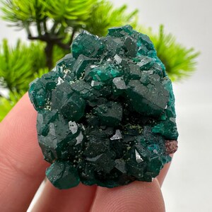 Stunning Green Dioptase From Sanda Hills,mindouli,pool Department ...
