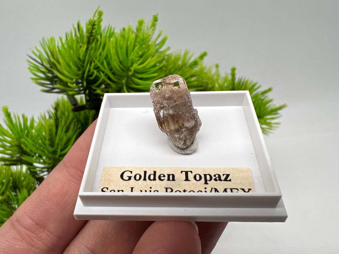 Beautiful Golden Topaz From Mexico,collection Piece Crystal,mineral ...