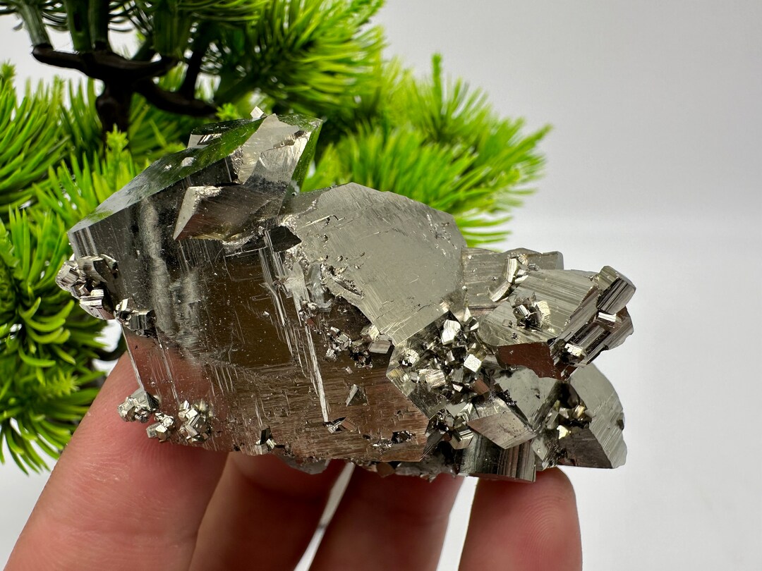 Stunning,rare,floating Pyrite,from Borieva Mine,bulgaria,natural ...