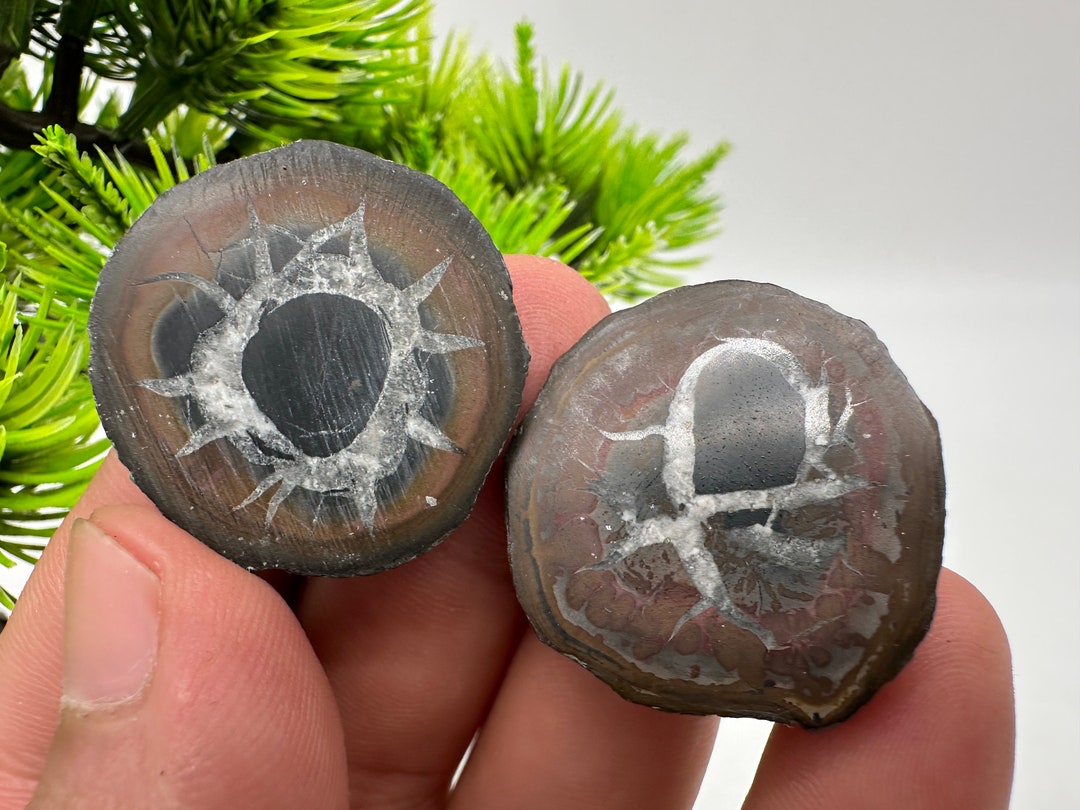 Dragonstones Pair, Septarian Nodule Geode, Septaria, Dragonstone ...