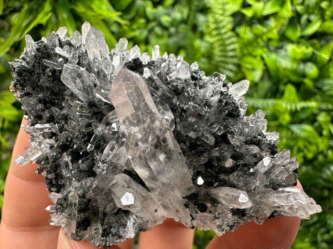 Wonderful,transparent Quartz (chlorite) From Famous Borieva Madan Ore ...