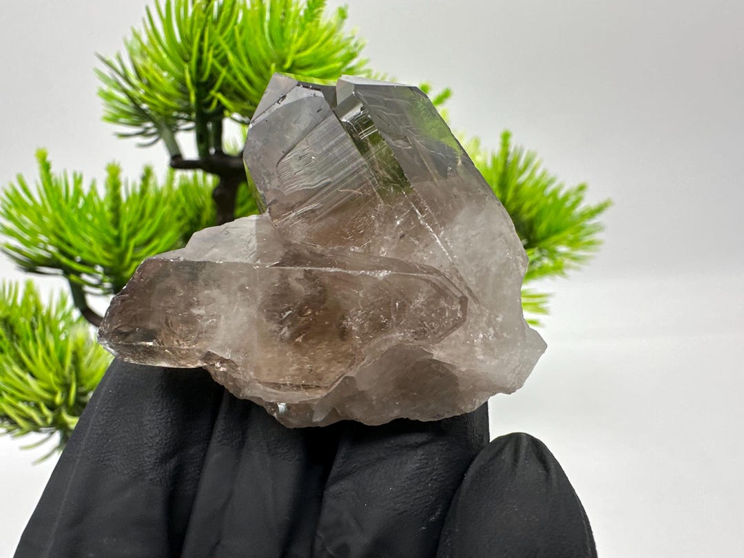 Rare Smoky Quartz,mineral Specimen,collection Crystal,minerals,smoky ...