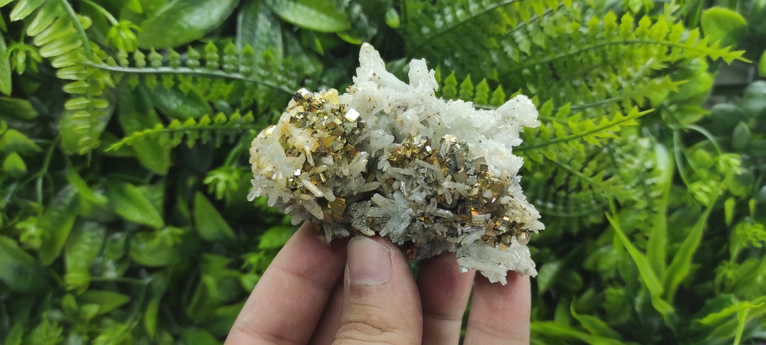 Lovely Piece Shiny Pyrite on Transparent Quartz Natural Mineral Crystal ...