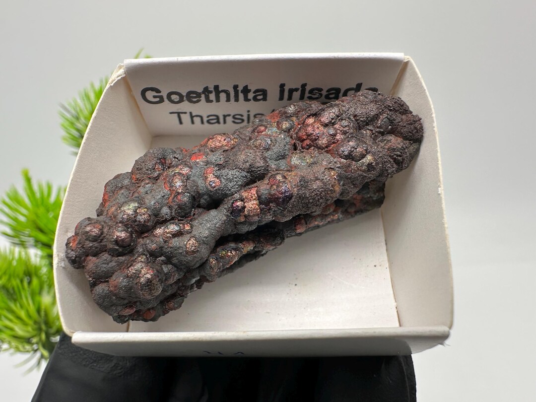 Iridescent Goethite Crystal Cluster, Mineral Specimen From Spain - Etsy