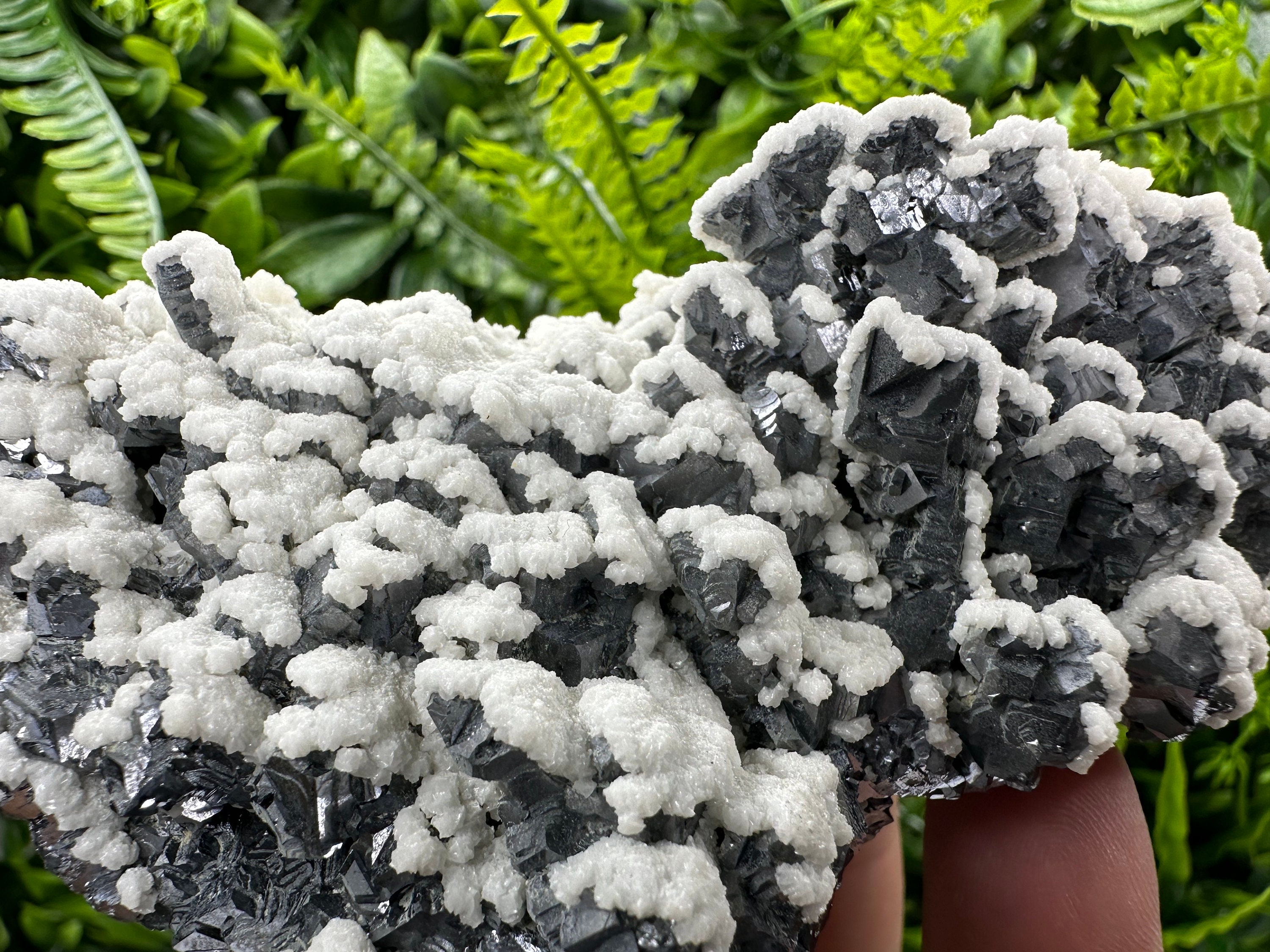 TOP Quality Pieceskeletal Shiny Galena Whit Dolomite - Etsy