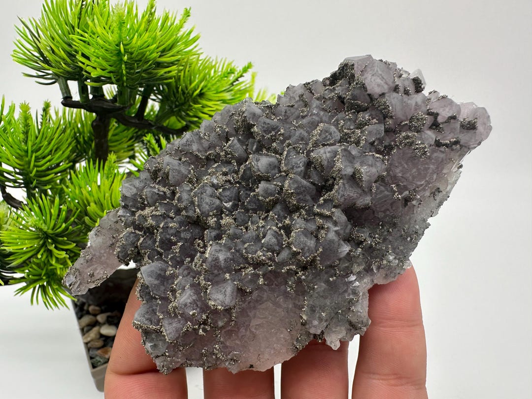 Wonderful Amethyst Phantom Whit Pyrite,narural Mineral,collection ...