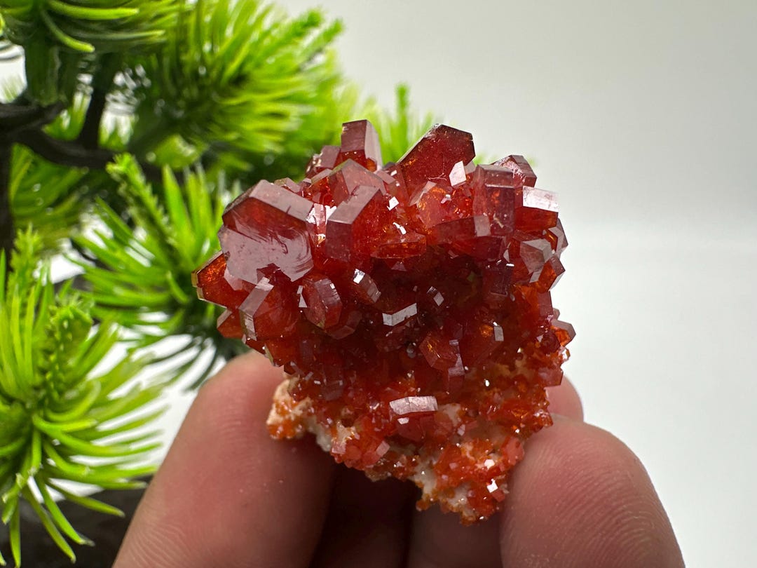 Red Vanadinite on Barite From Morocco,crystal, Mineral,specimen,cluster,vanadinite Crystal ...
