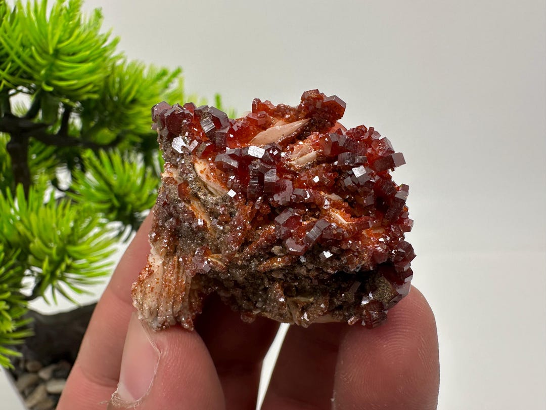 Red Vanadinite on Barite From Morocco,crystal, Mineral,specimen,cluster ...