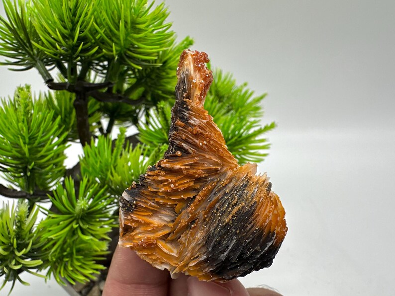 Red Vanadinite on Barite whit Goethite from Morocco,Crystal, Mineral ...