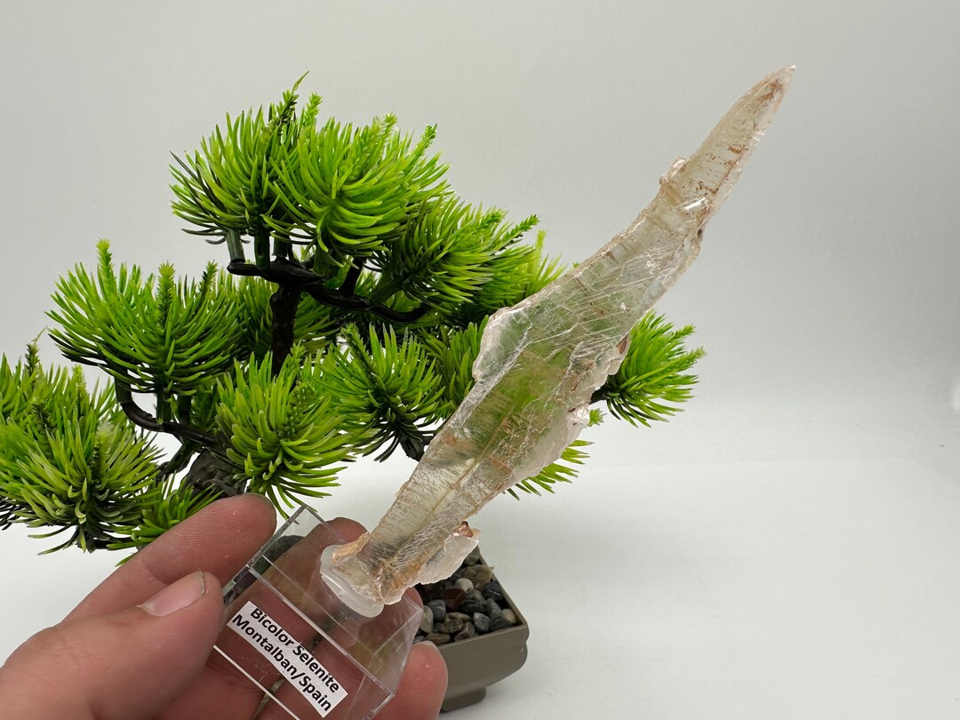 Golden Phantom Selenite Slab: Raw Utah Fishtail Selenite Wand - Etsy