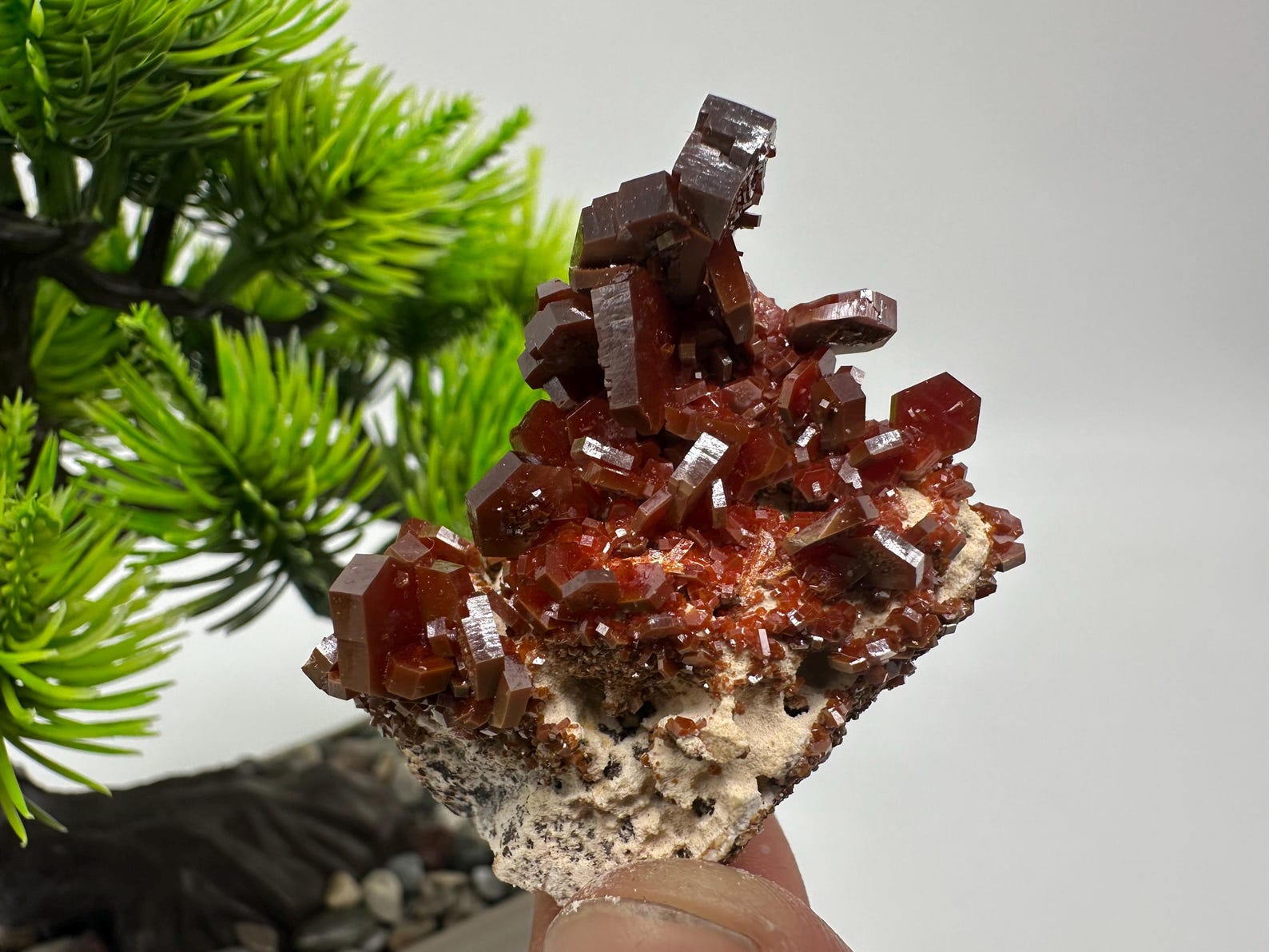 Red Vanadinite Crystal on Barite, Morocco Mineral Specimen - Etsy