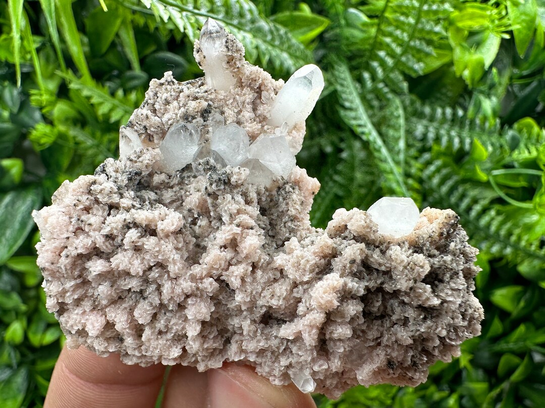 Top! Perfect Very Pink Very Rare Rhodochrosite Roses Type Whit ...