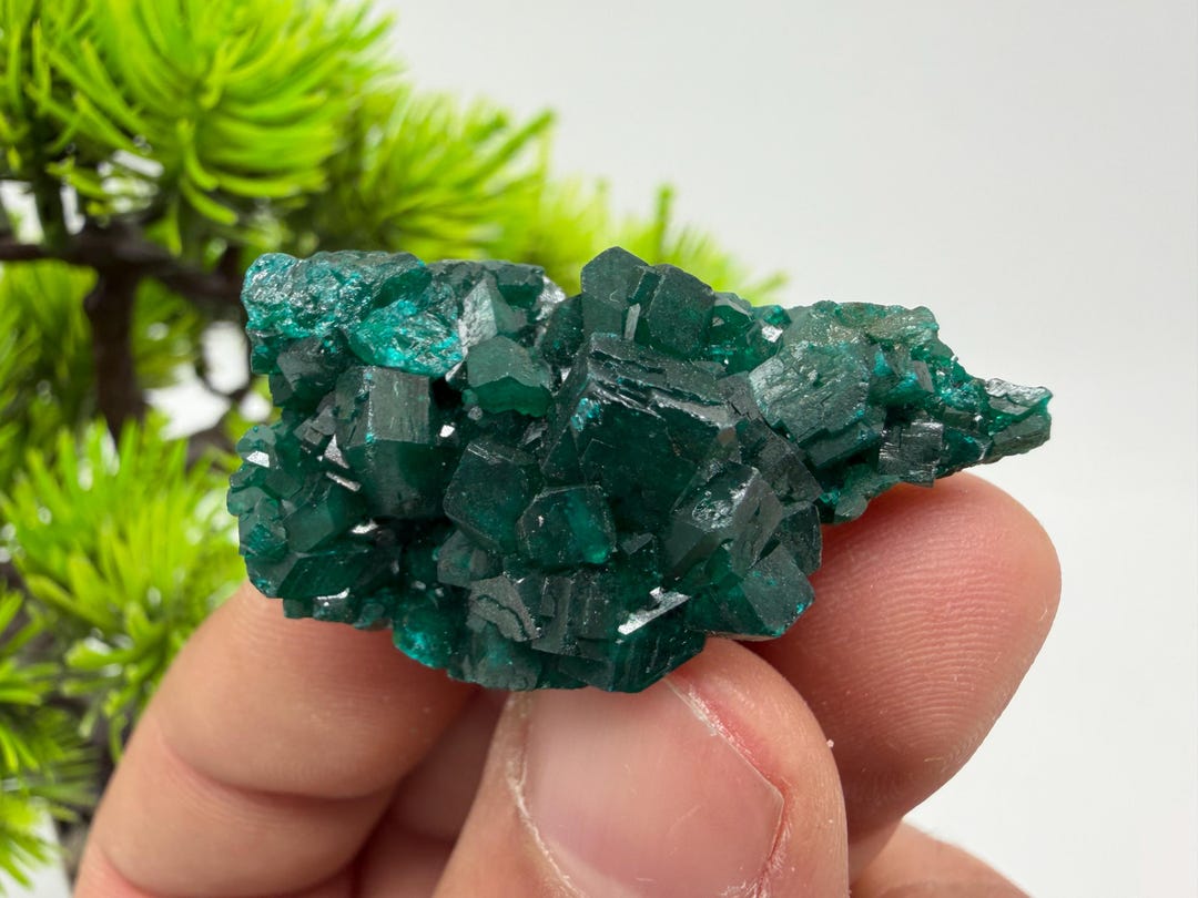 Stunning Green Dioptase From Sanda Hills,mindouli,pool Department ...