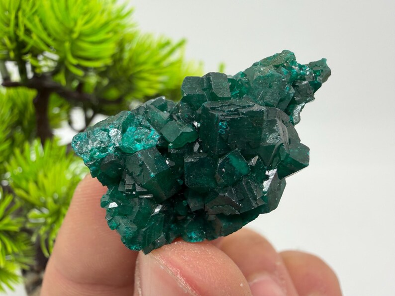 Stunning Green Dioptase From Sanda Hills,mindouli,pool Department ...