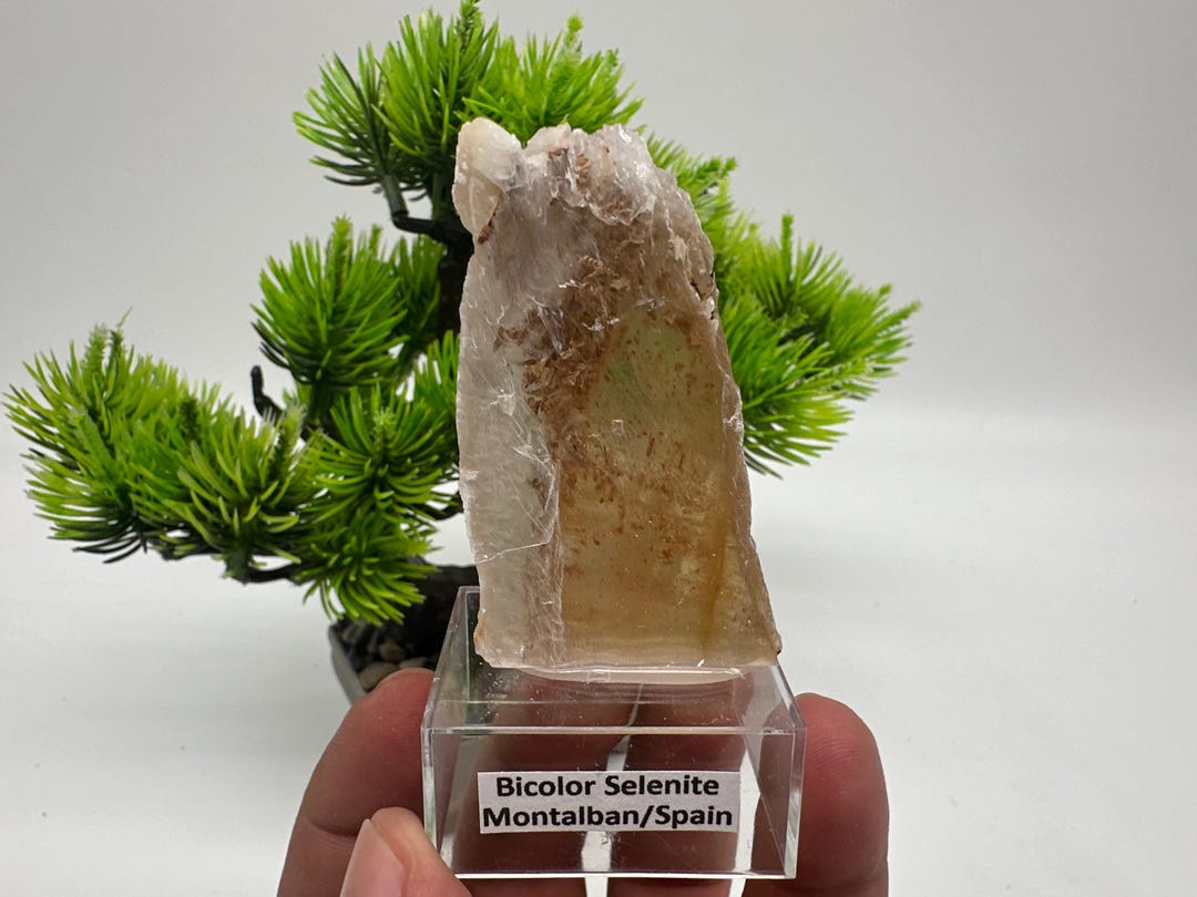 Golden Phantom Selenite Slab: Raw Utah Fishtail Selenite Wand - Etsy