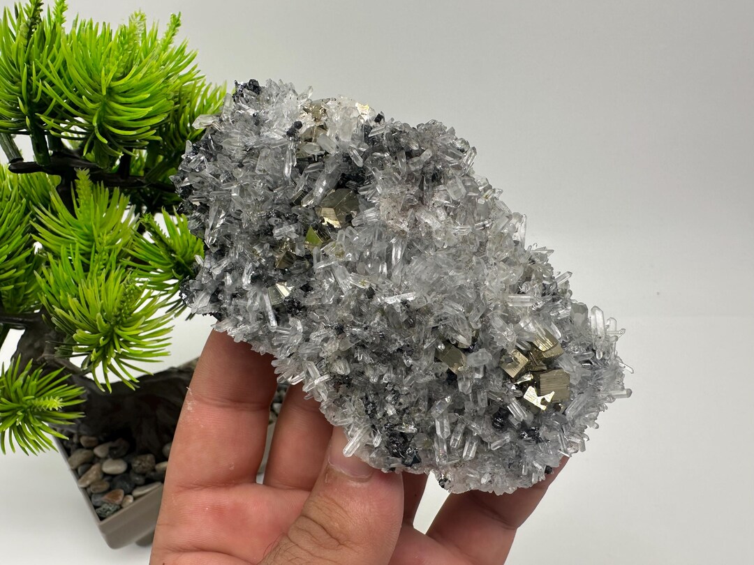 Stunning Pyrite on Transparent Quartz,from Krushev Dol Mine Bulgaria ...