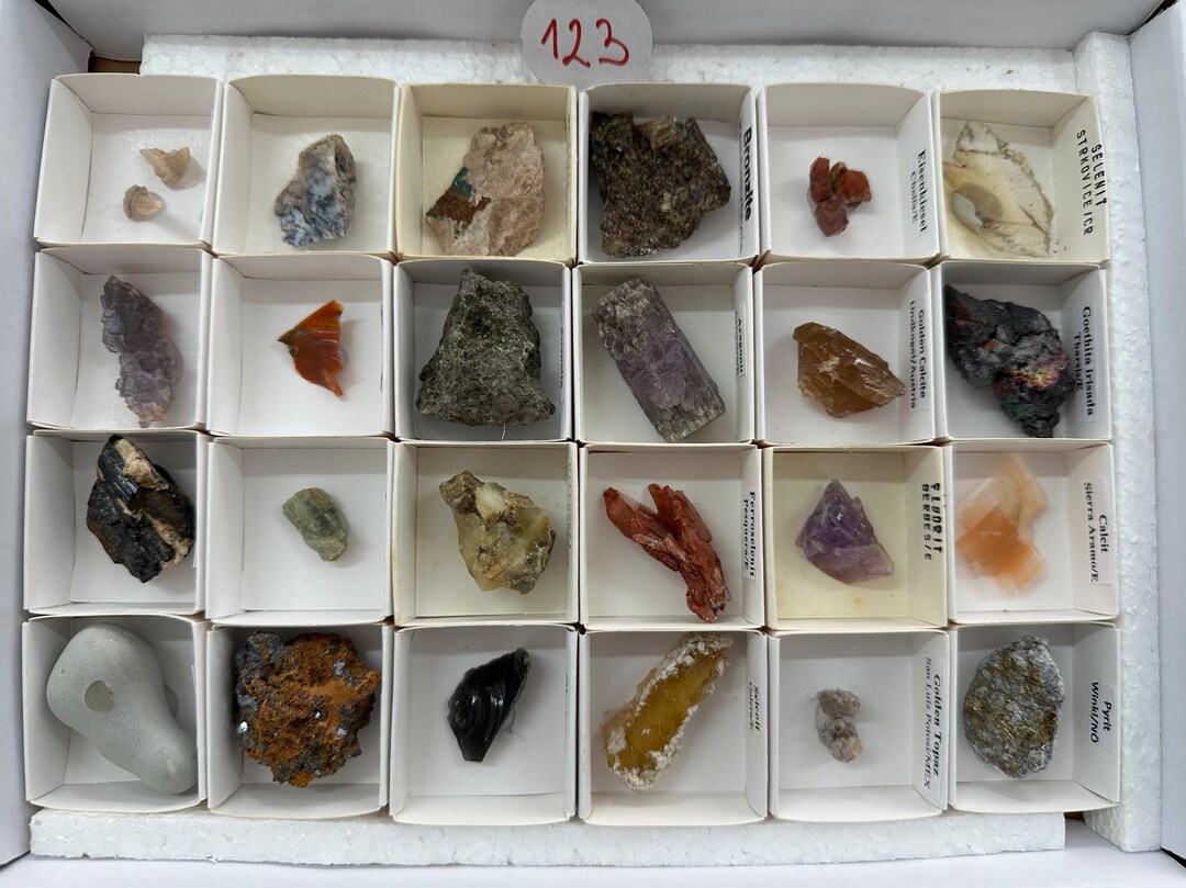 Set of 24 Different International Crystals,minerals,flat Minerals,flat ...