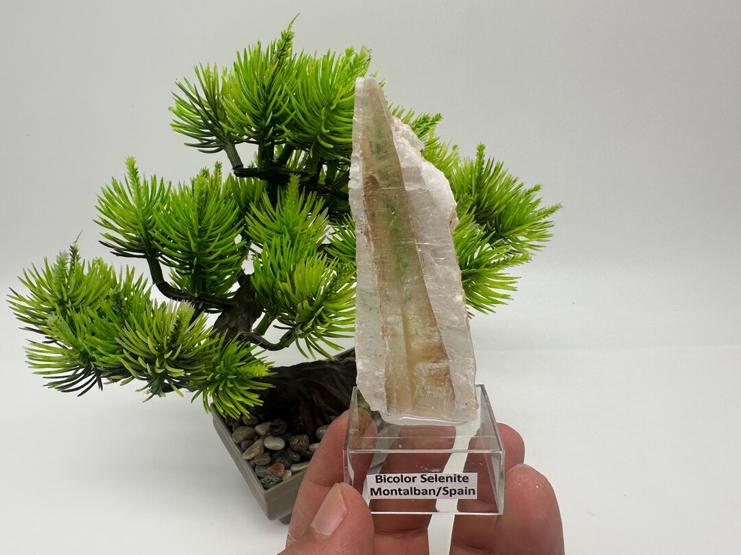 Golden Phantom Selenite Slab, Utah Raw Crystal Wand (3.5/8.5 Cm) - Etsy