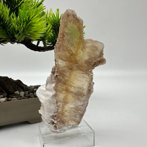 Golden Phantom Selenite Slab: Raw Utah Fishtail Selenite - Etsy