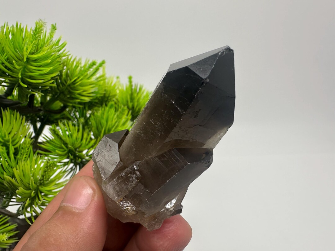 Rare Smoky Quartz,mineral Specimen,collection Crystal,minerals,smoky ...