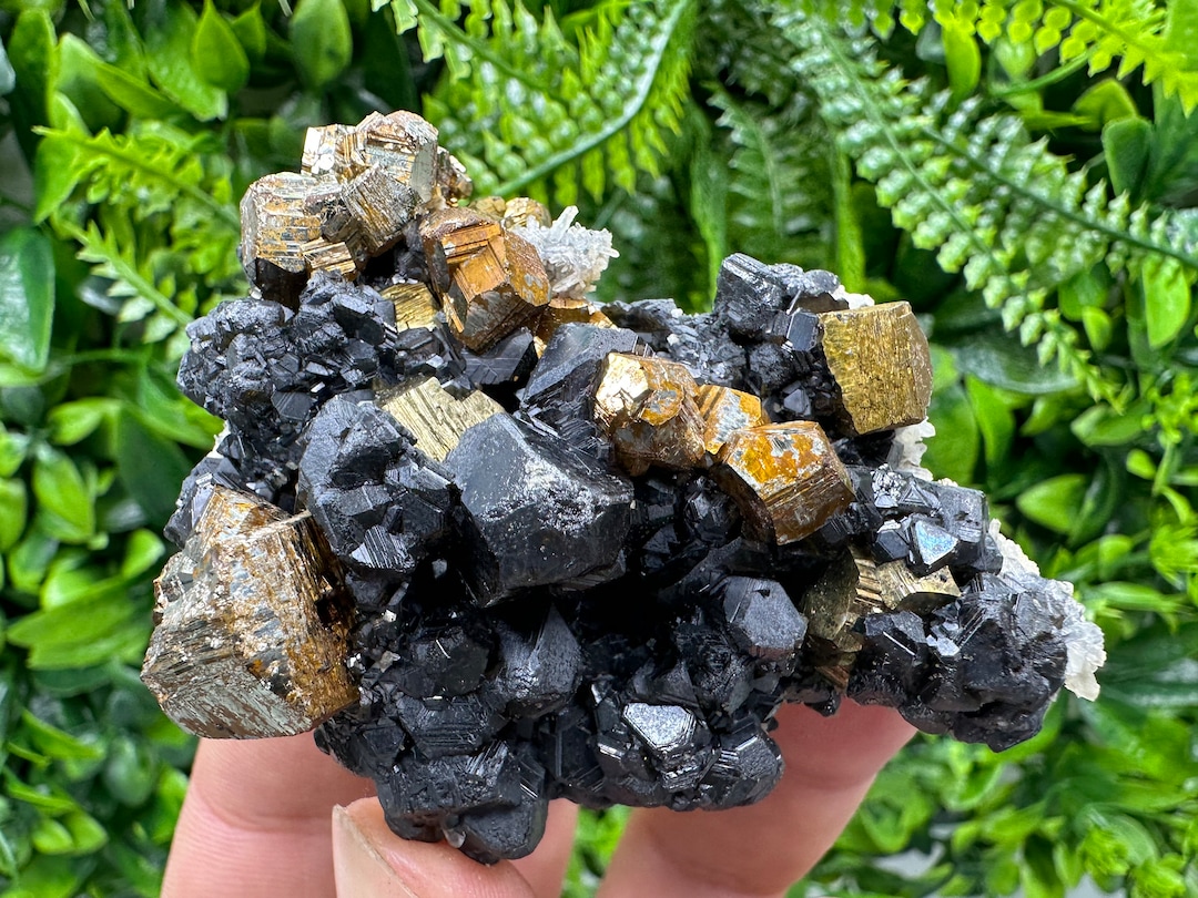 Stunning Pyrite Covered Whit Hematite on Black Sphalerite Natural ...