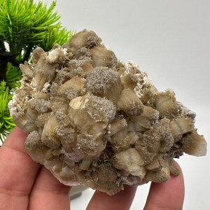 Incredible,rare Calcite,pyrite on Matrix,from 9th September Mine ...
