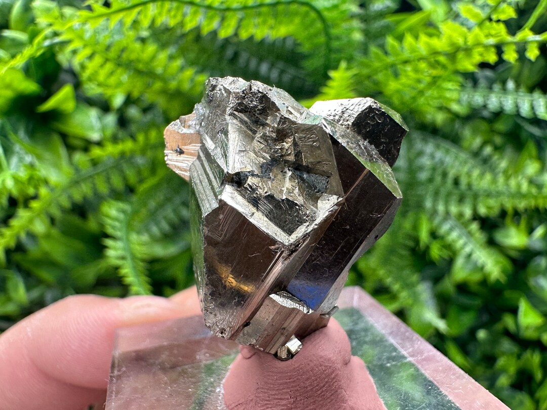 Aesthetic Shiny Pyrite,fool’s Gold Pyrite,pyrite Cluster, Transparent ...