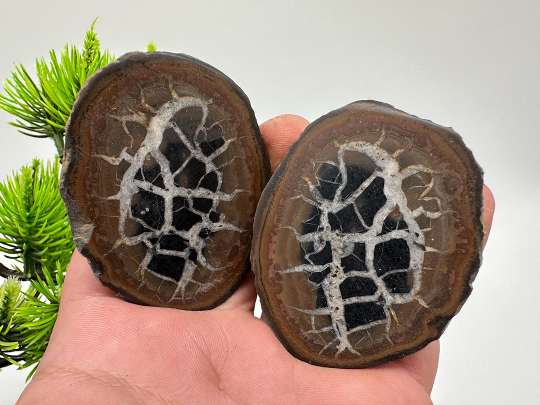 Dragonstones Pair, Septarian Nodule Geode, Septaria, Dragonstone ...
