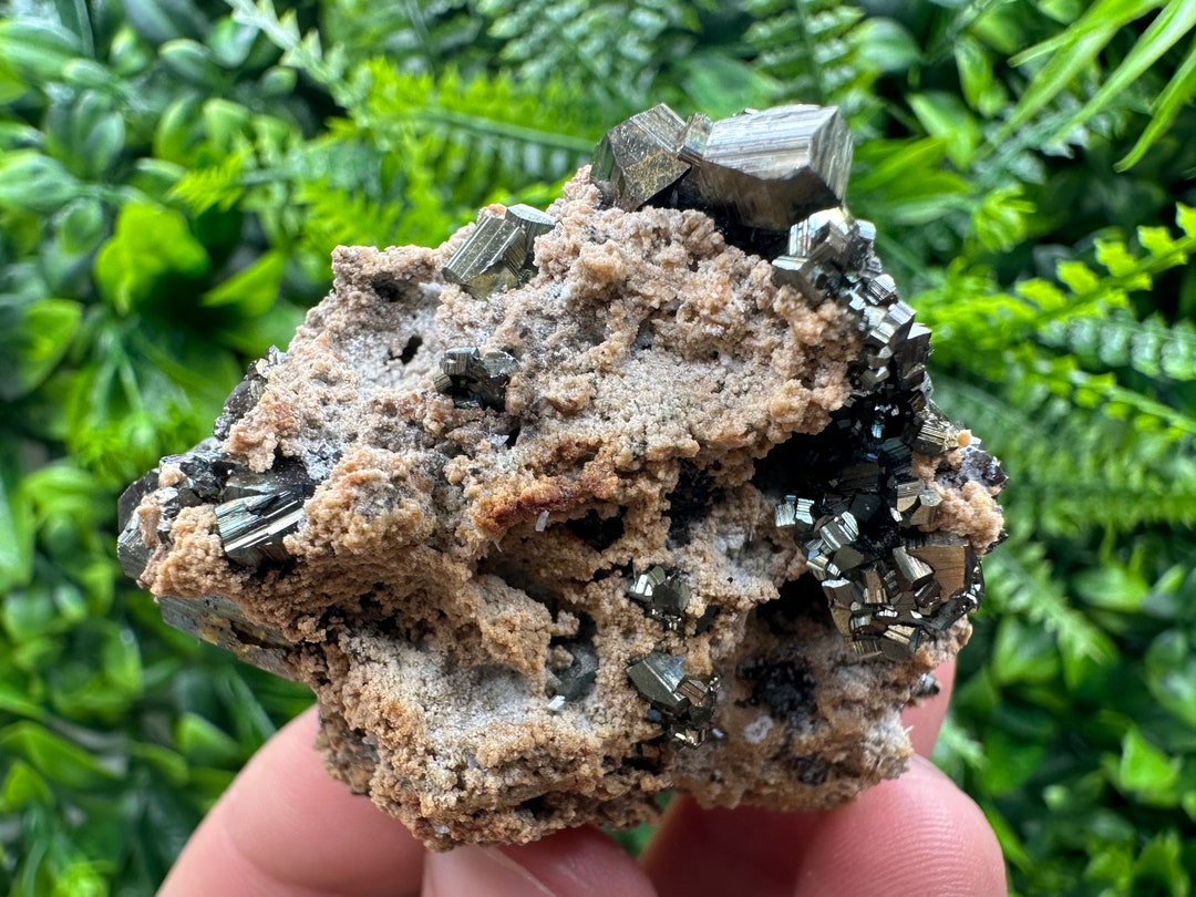 Aesthetic Pyrite on Siderite Natural Mineral Collection Specimen Rare ...