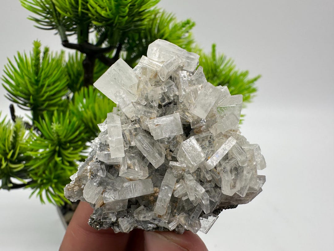 Stunning Transparent Barite on Marcasite Matrix,androvo Mine,bulgaria ...