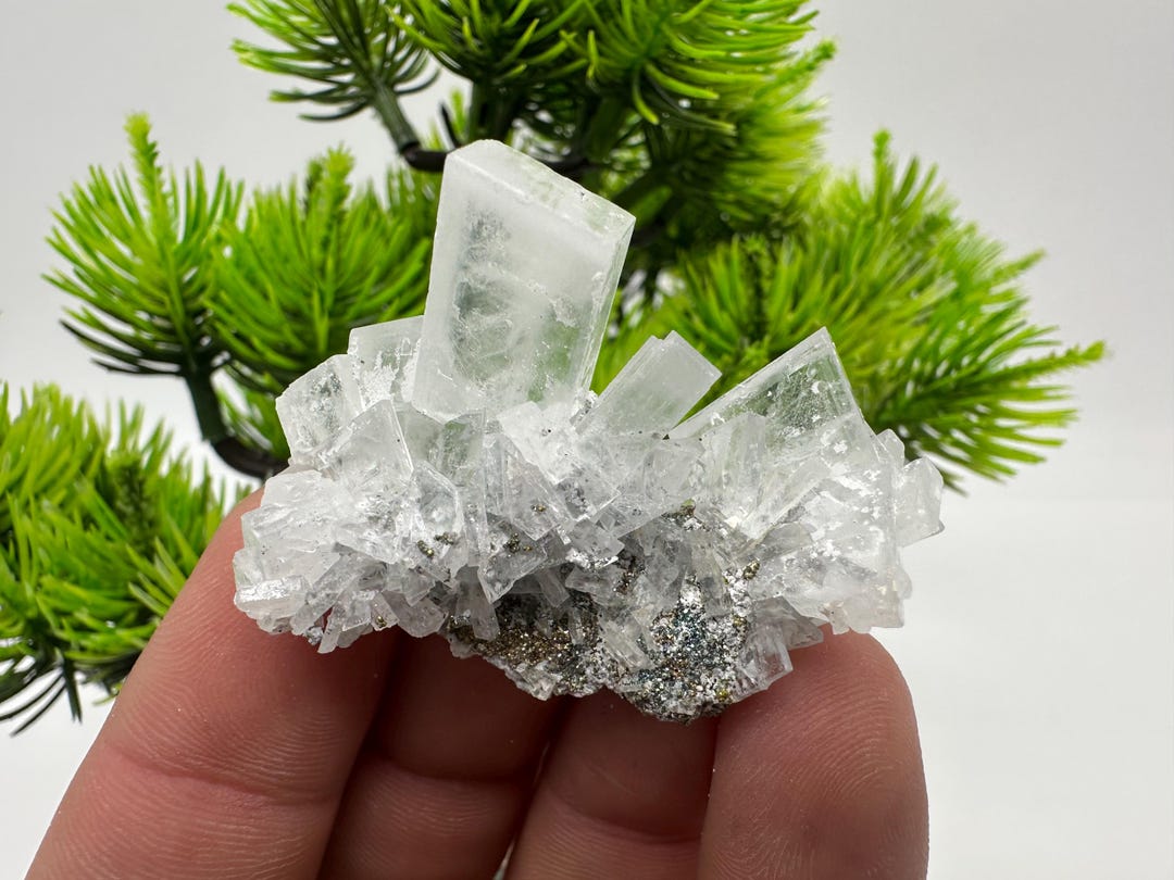 Stunning Transparent Barite on Marcasite Matrix,androvo Mine,bulgaria ...